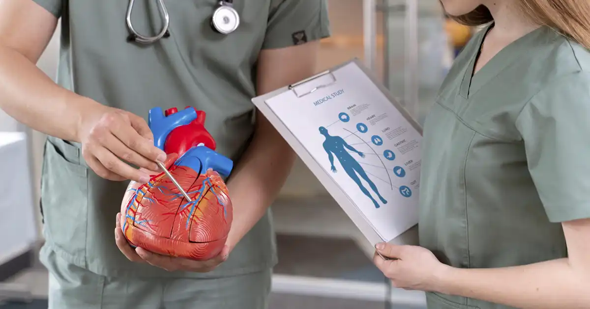 Congenital Heart Defect (CHD): Causes, Screening & Solutions - SCHILLER ...